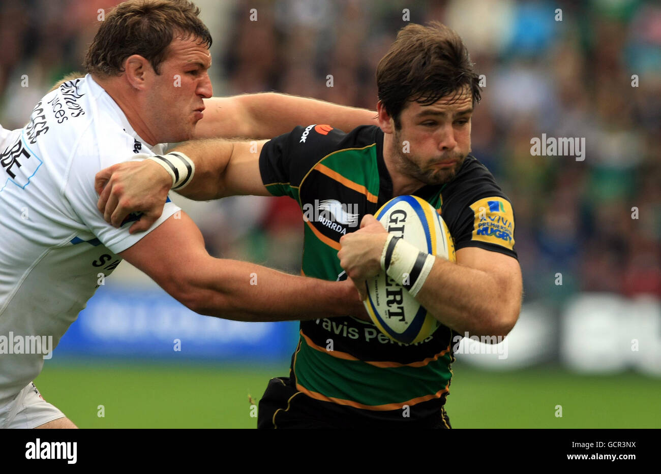 Rugbyu northampton half length mid battling mangkk hi-res stock ...