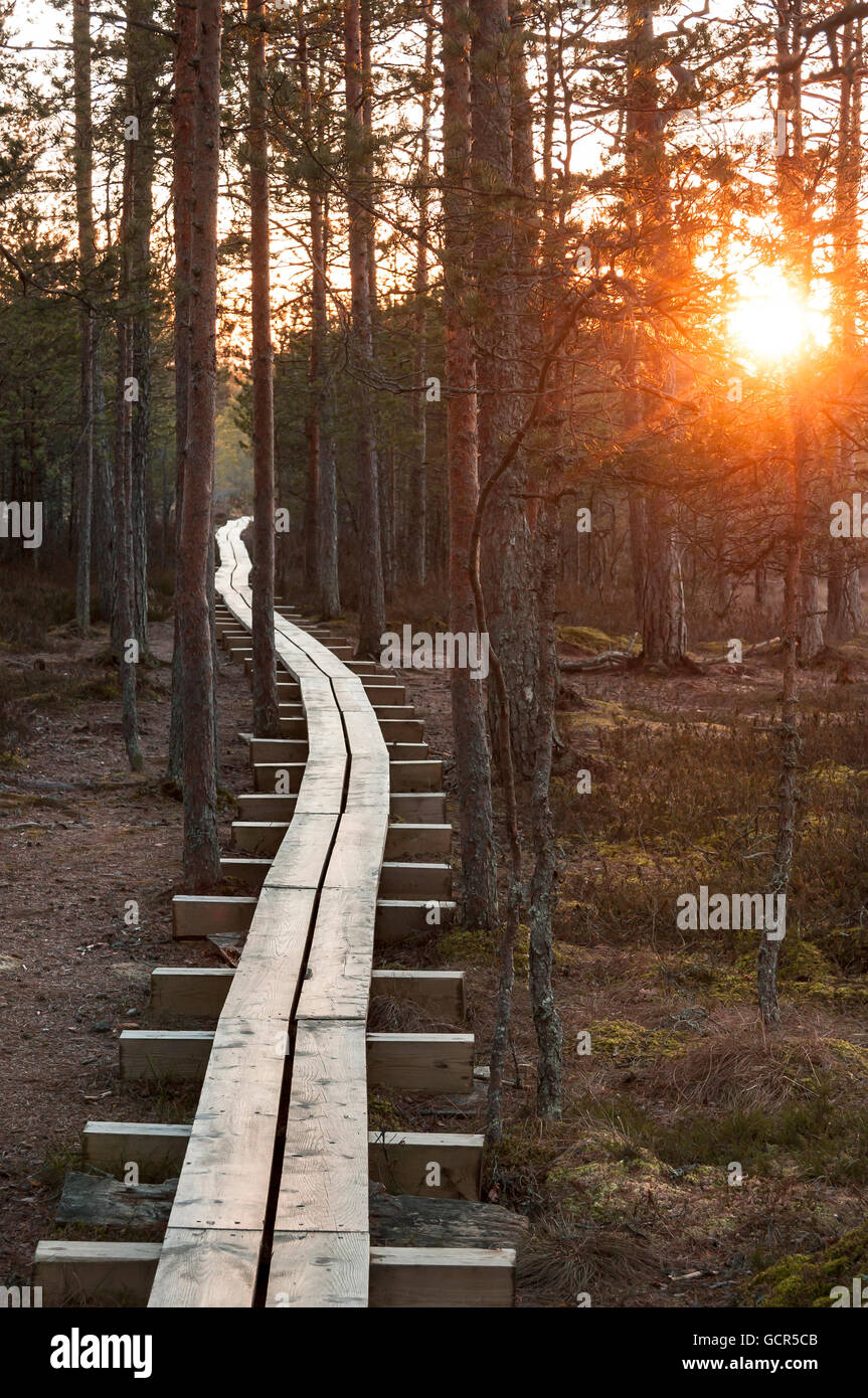 Timber boardwalk hi-res stock photography and images - Alamy