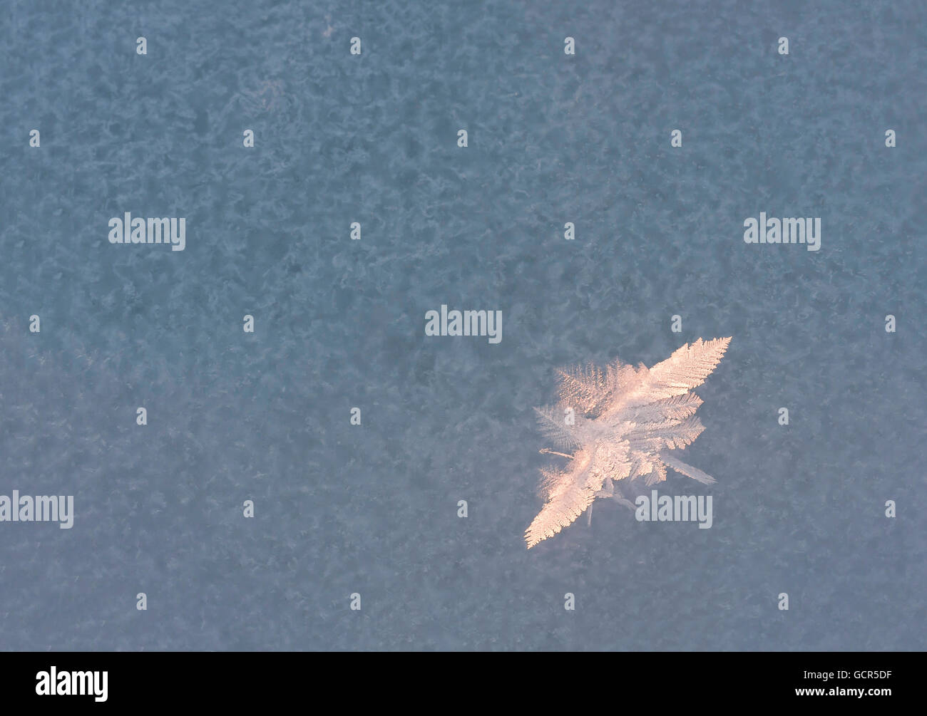 Still life snow flake crystals hi-res stock photography and images - Alamy