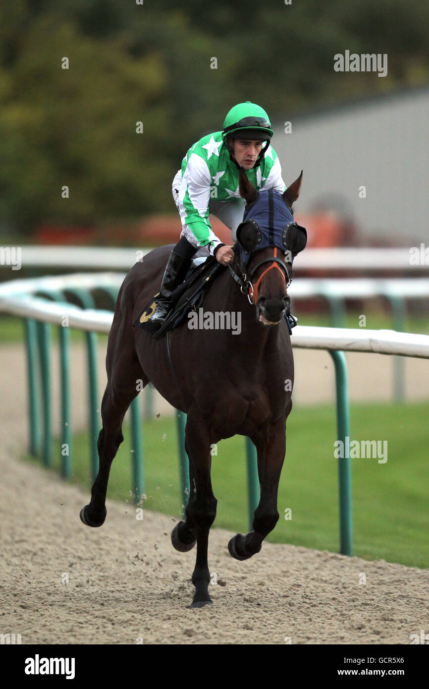 Horse Racing - Wolverhampton Racecourse Stock Photo - Alamy