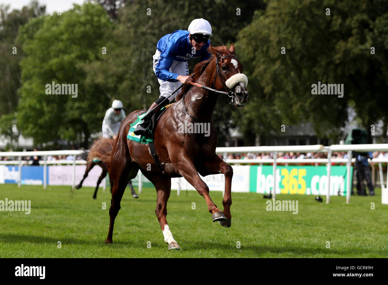 Superlative cup newmarket hi-res stock photography and images - Alamy