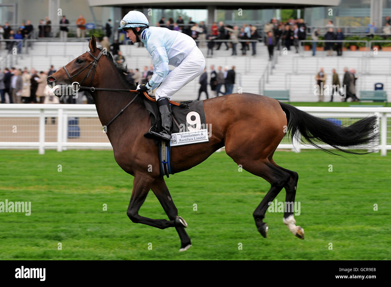 Jockey Jim Crowley on Sylvestris goes to post for the Fred Cowley MBE ...