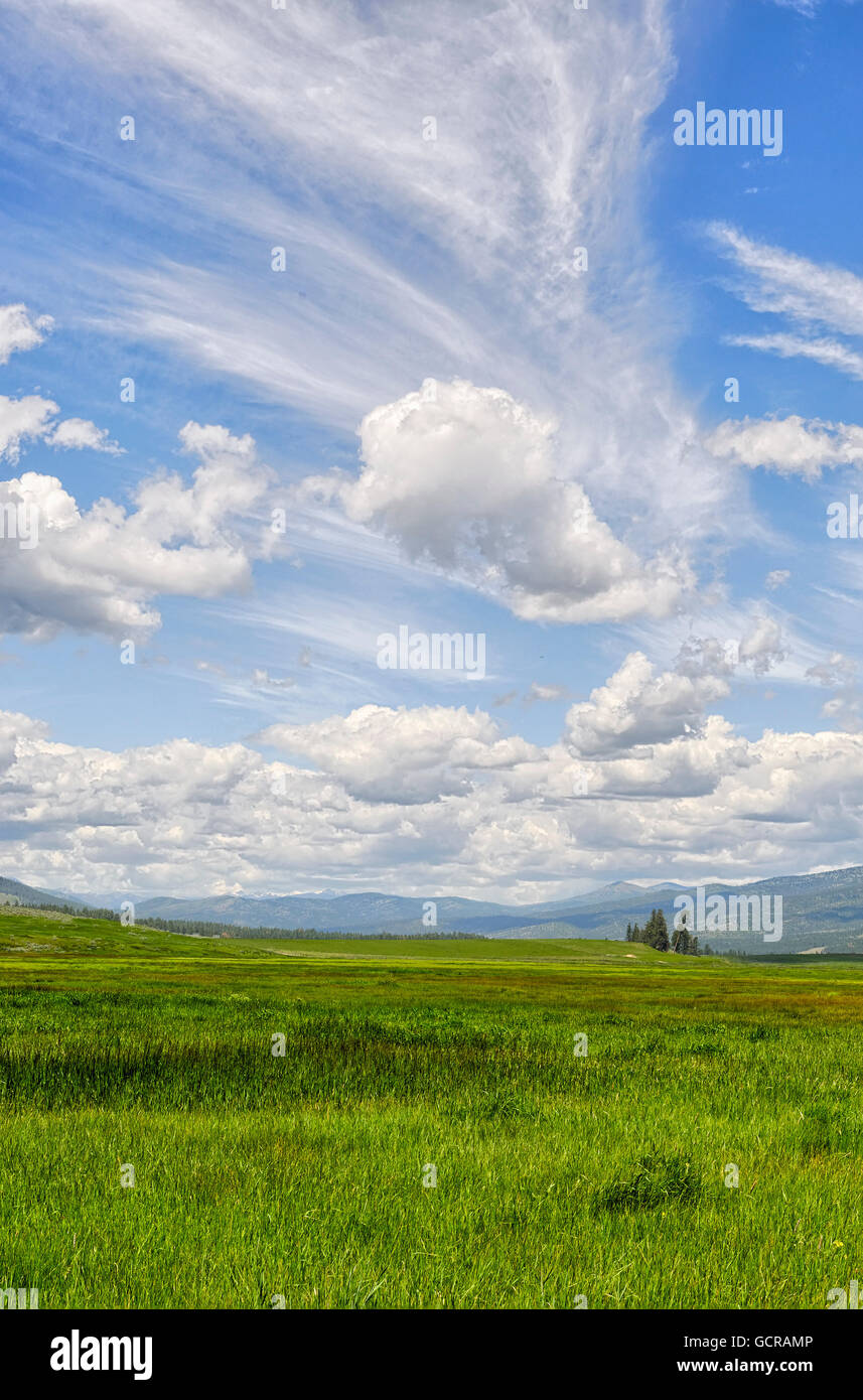 Grasslands and grasslands and clouds hi-res stock photography and ...