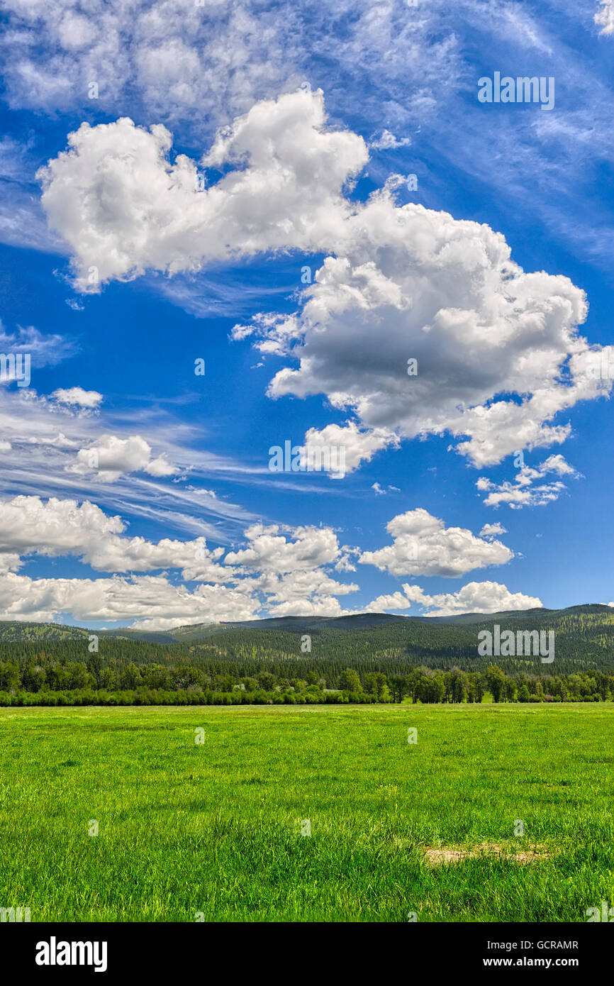 Open grasslands hi-res stock photography and images - Alamy