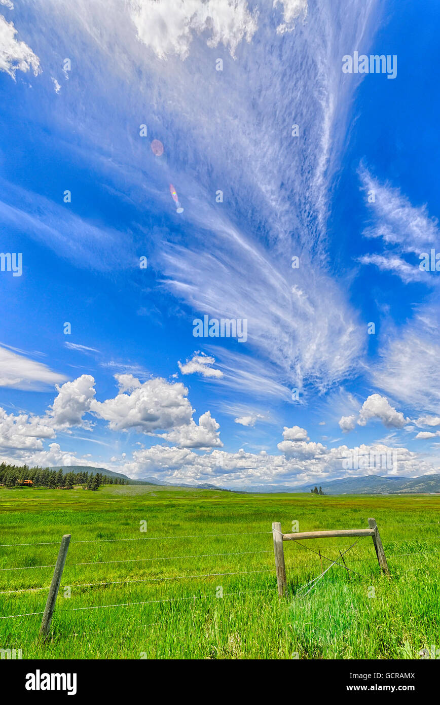 Open grasslands hi-res stock photography and images - Alamy