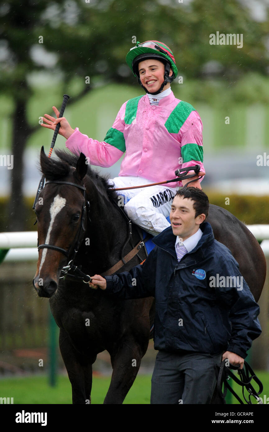 Oh so sharp horse hi-res stock photography and images - Alamy