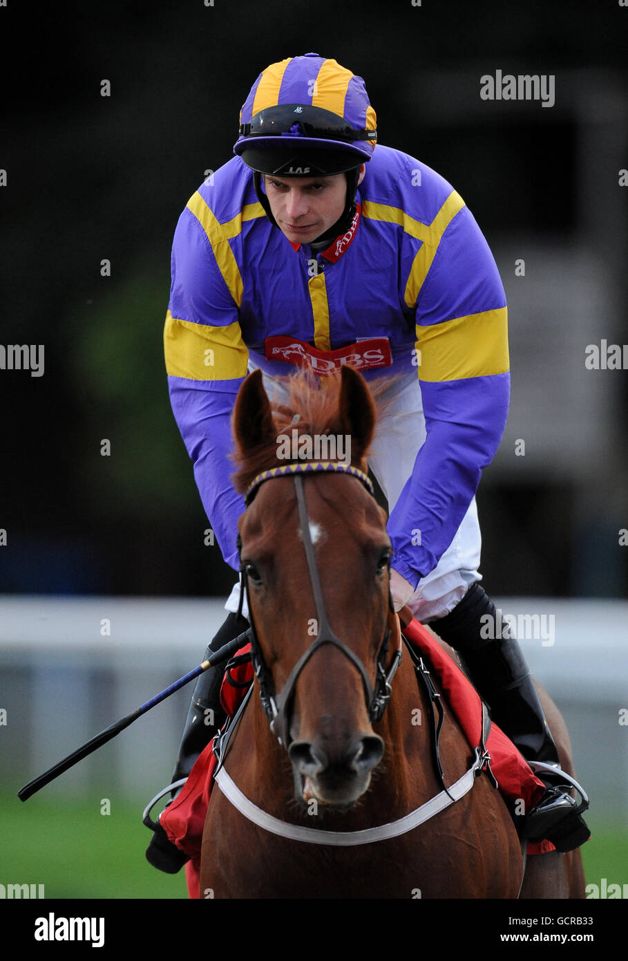 Racing post punt hi-res stock photography and images - Alamy