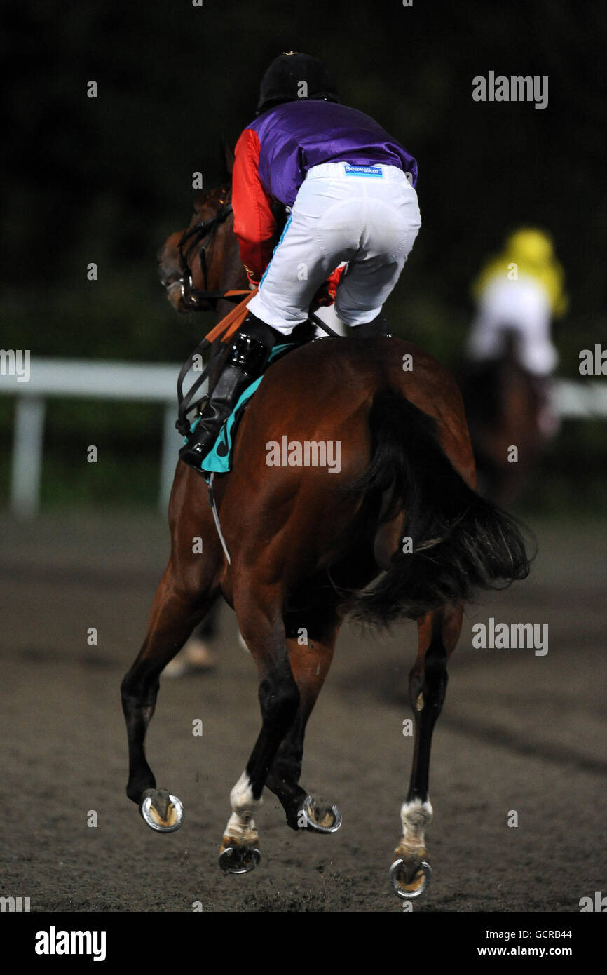 Horse Racing - digibet Wednesday Series - Kempton Park. Jockey Steve ...