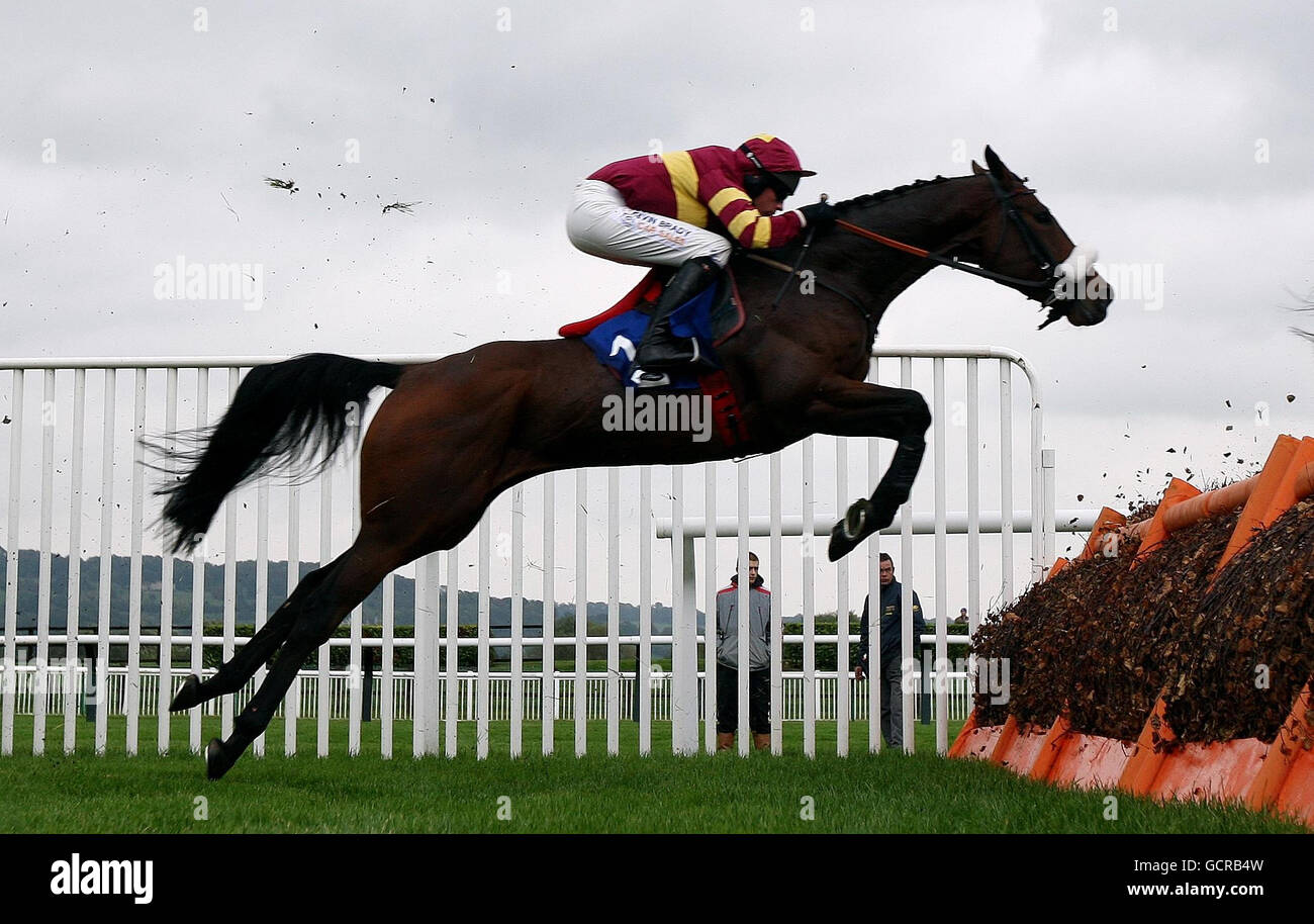 Paul carberry jockey cheltenham hi-res stock photography and images - Alamy