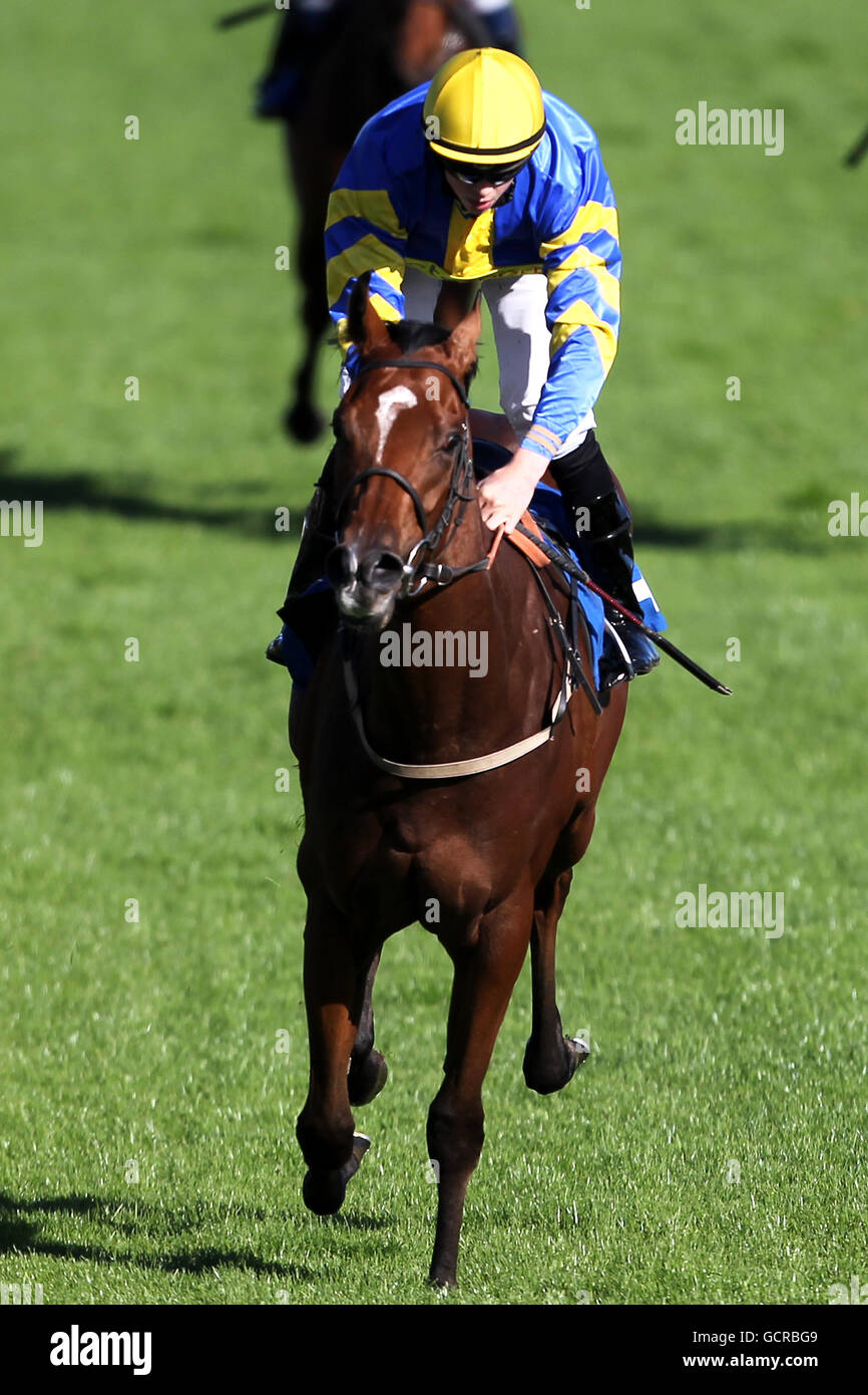 Jockey David Probert on Coedmor Boy during the Red Box Recorders Simply ...
