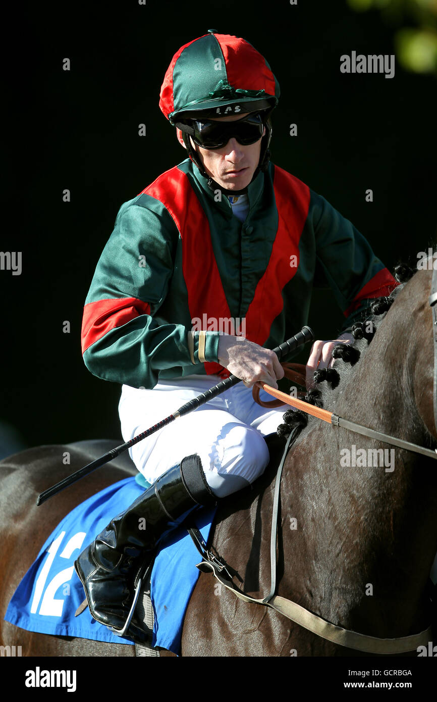 Shane kelly jockey hi-res stock photography and images - Alamy