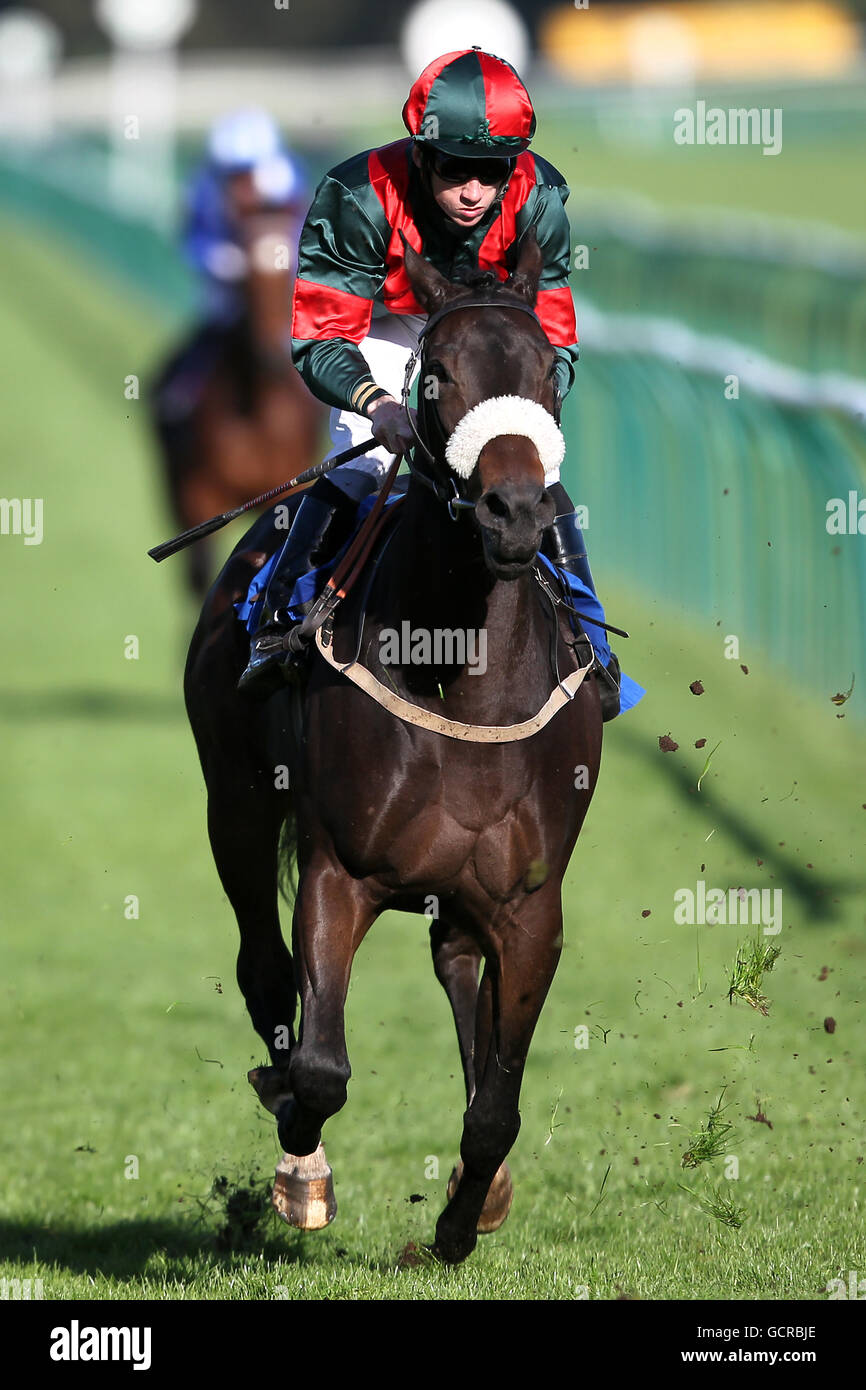 Jockey shane kelly on night witch european breeders fund maiden hi-res ...