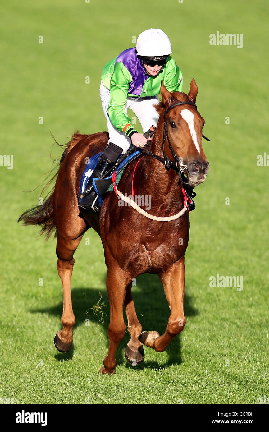 Horse Racing - Nottingham Racecourse. Jockey Paul Pickard on ...