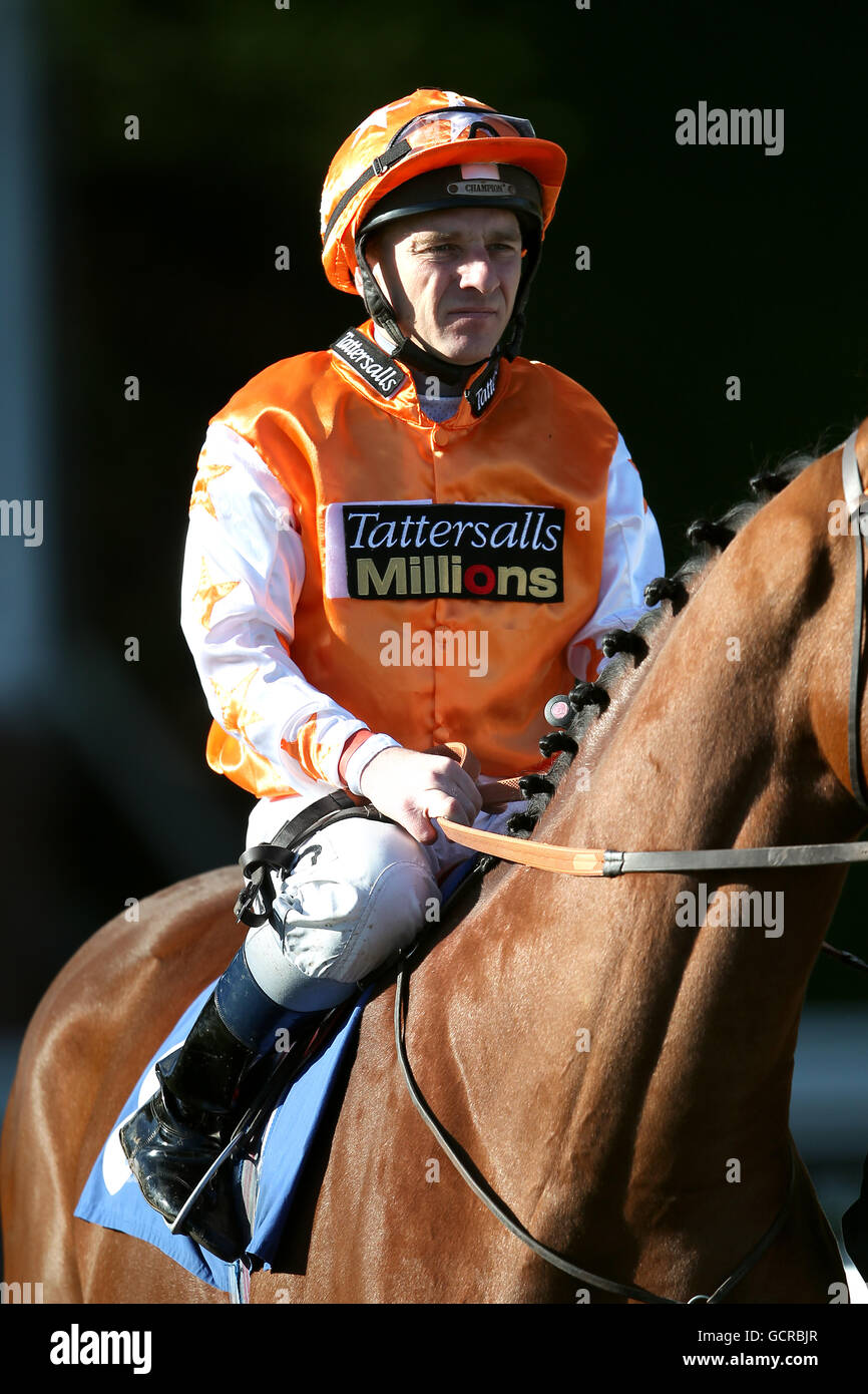 Top half stock seb hi-res stock photography and images - Alamy