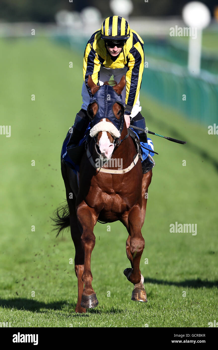 Jockey Declan Cannon on Henry Bond during the European Breeders' Fund ...