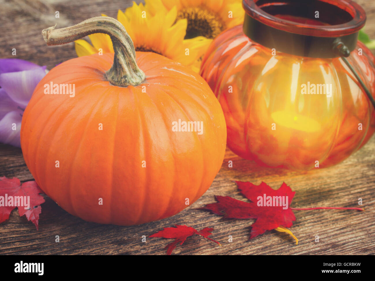 pumpkin on table Stock Photo - Alamy