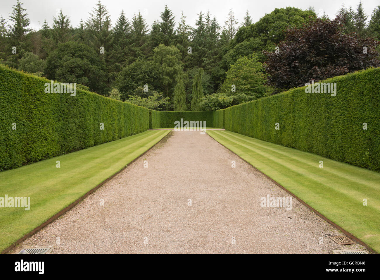Topiary hedge yew lawn hi-res stock photography and images - Alamy