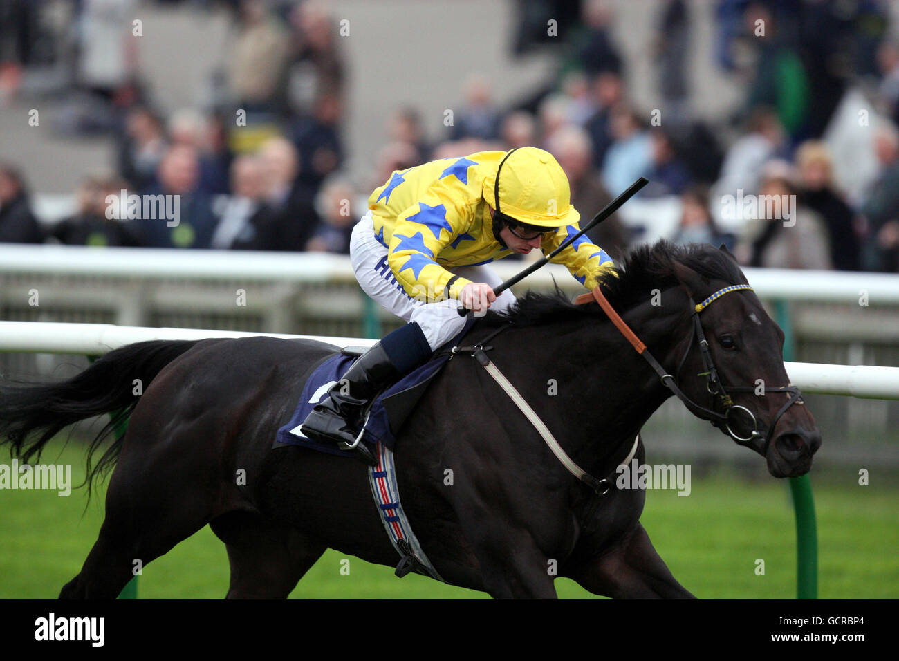Horse Racing - Newmarket Racecourse Stock Photo - Alamy