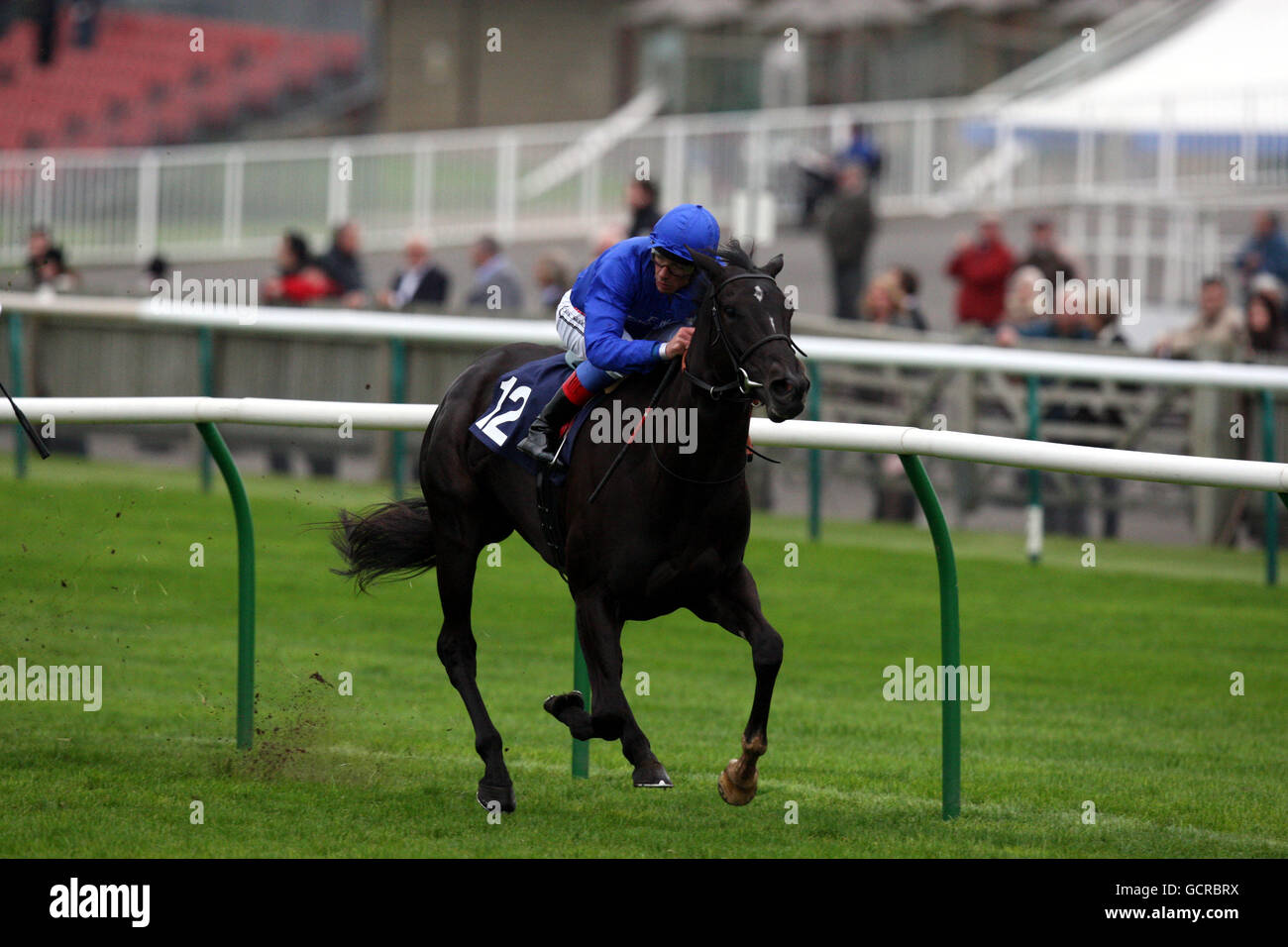 Horse Racing - Newmarket Racecourse Stock Photo - Alamy