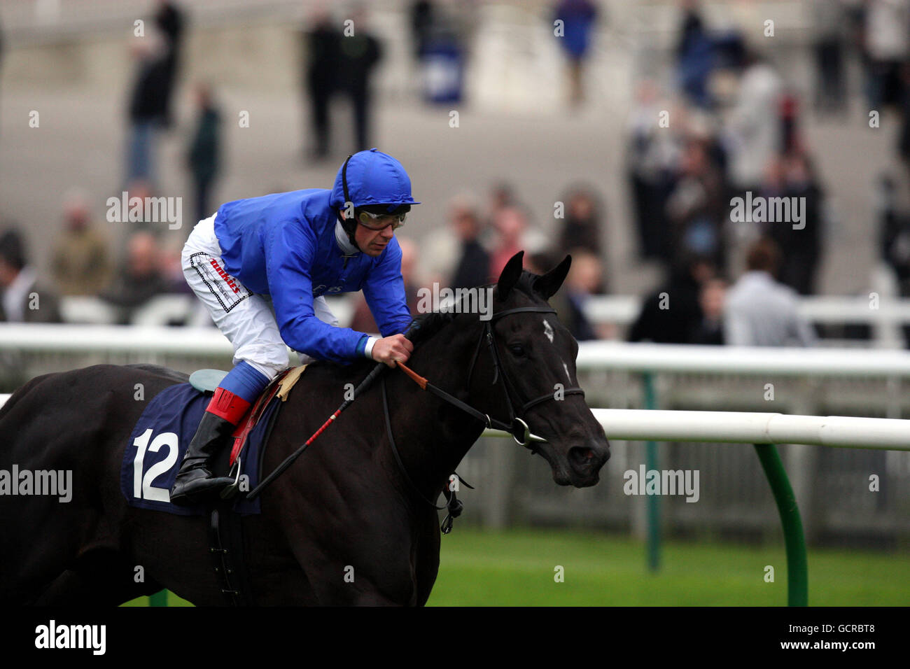 Horse Racing - Newmarket Racecourse Stock Photo - Alamy