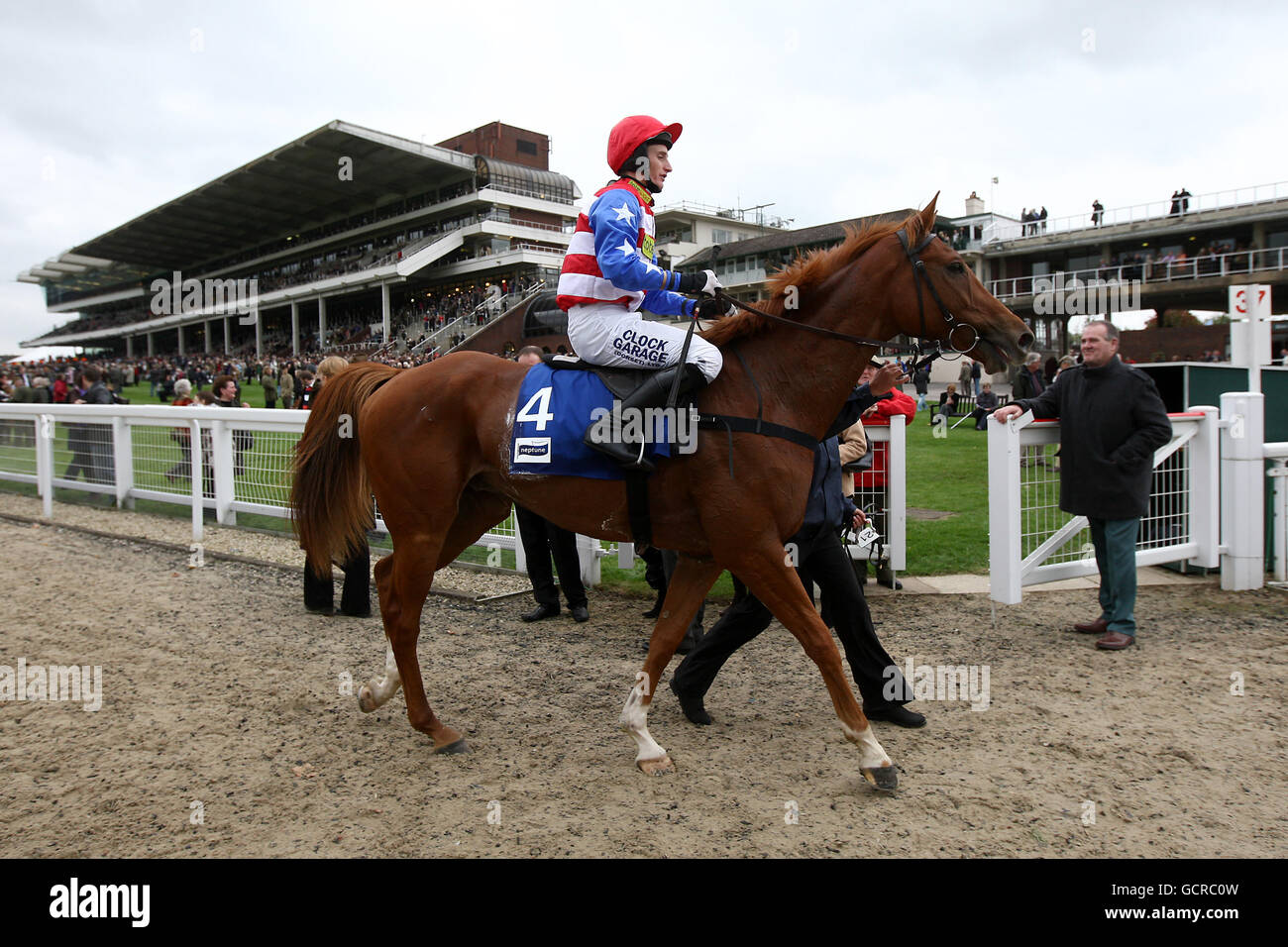 Horse Racing - Cheltenham Racecourse Stock Photo - Alamy