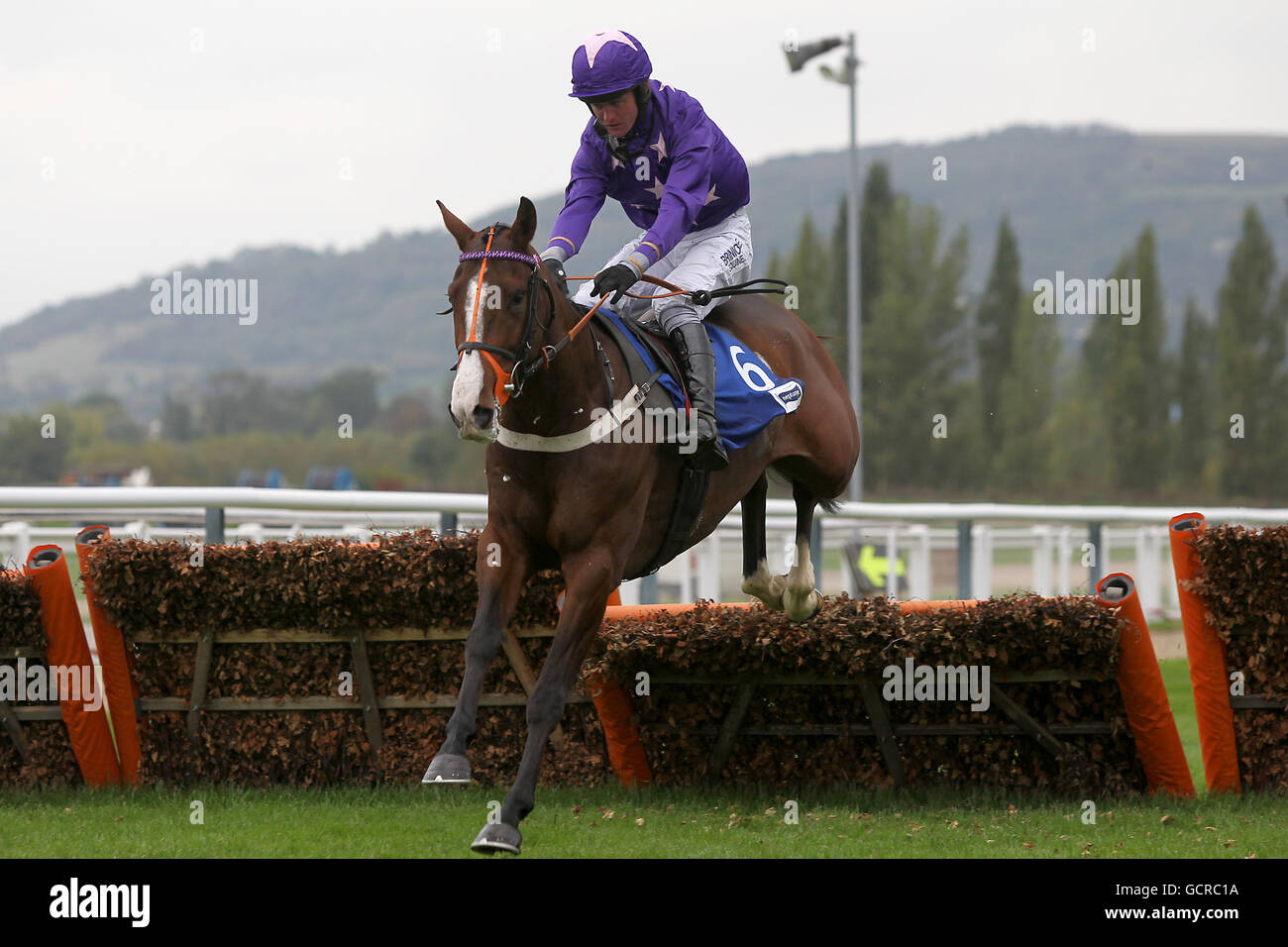 Jockey joe tizzard at cheltenham racecourse hi-res stock photography ...