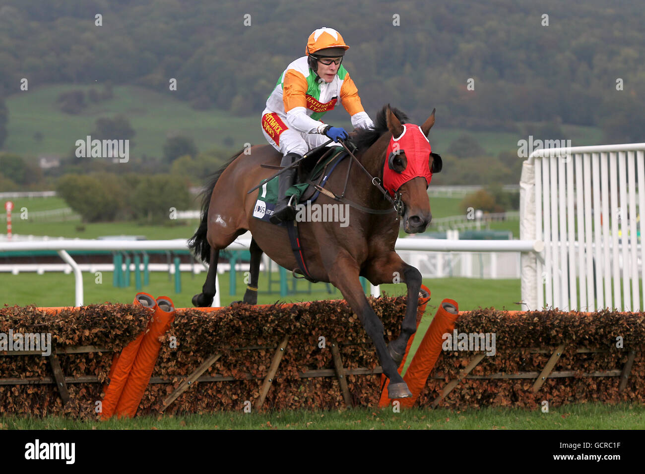 Horse Racing - Cheltenham Racecourse Stock Photo - Alamy