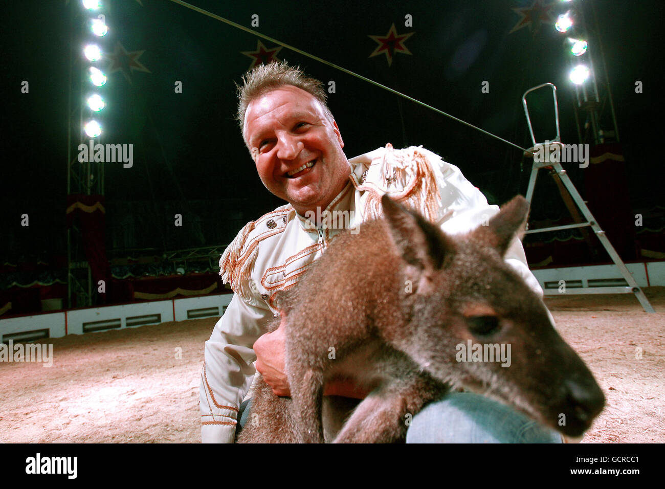 Wallaby party death Stock Photo - Alamy