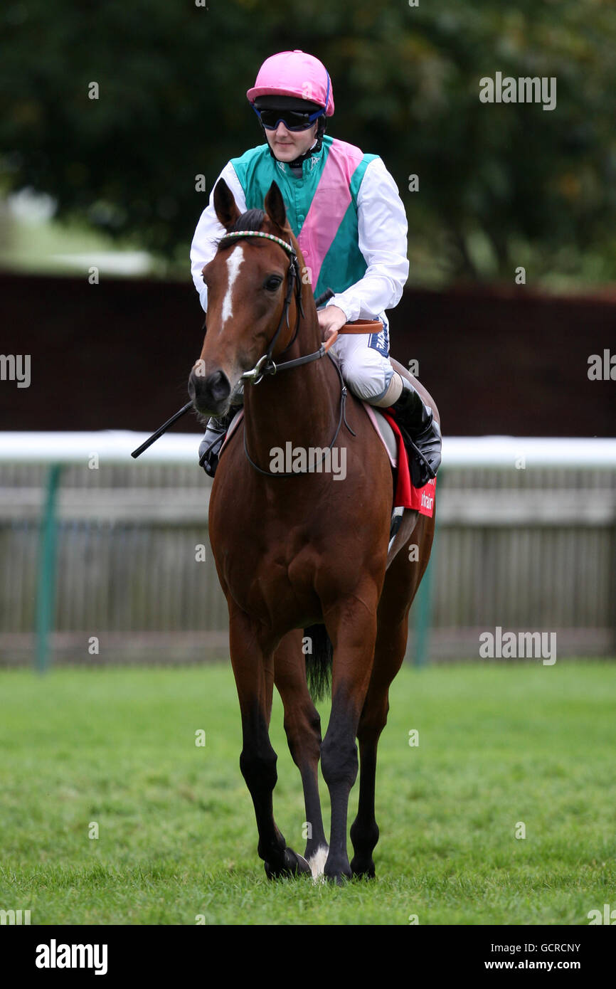 Jockey Tom Queally on Aviate goes to post in the Kingdom Of Bahrain Sun ...