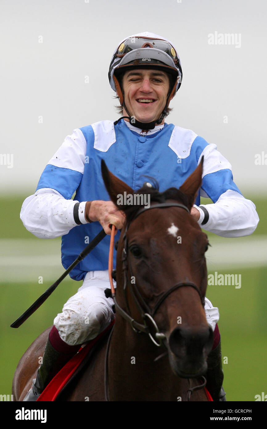 Horse winking hi-res stock photography and images - Alamy