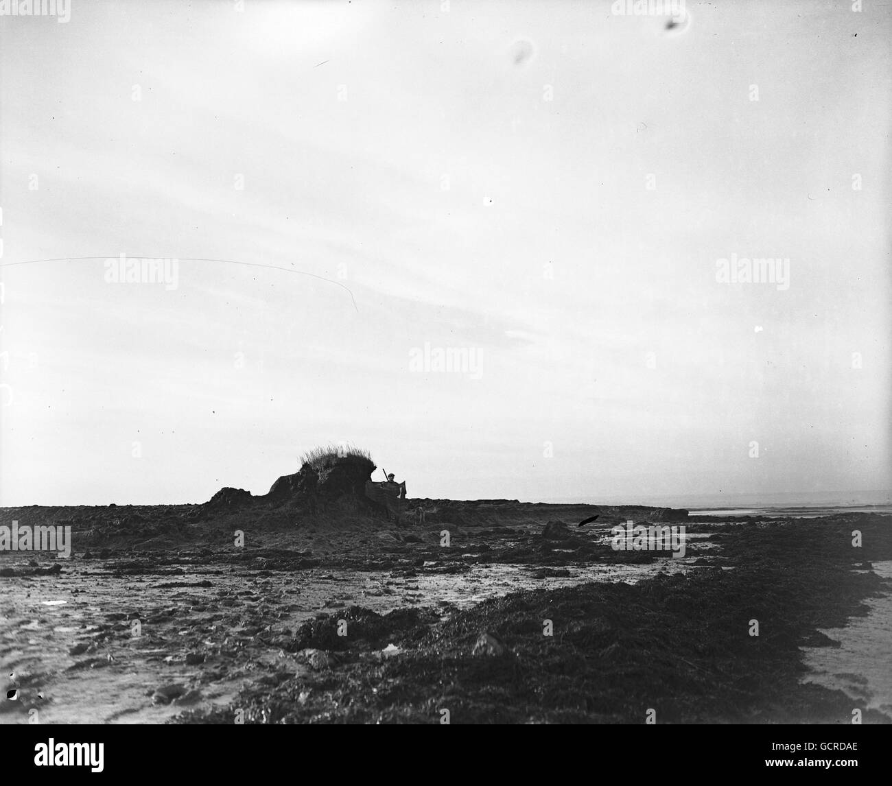 Wild fowling in the Thames Estuary near the Isle of Grain. As the dawn ...