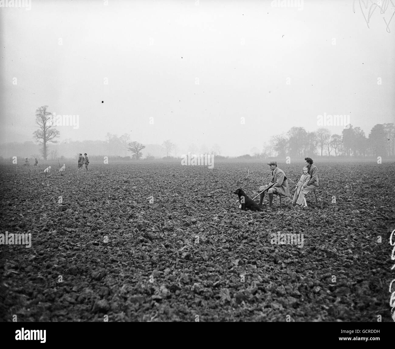 Game bird gun hi-res stock photography and images - Alamy
