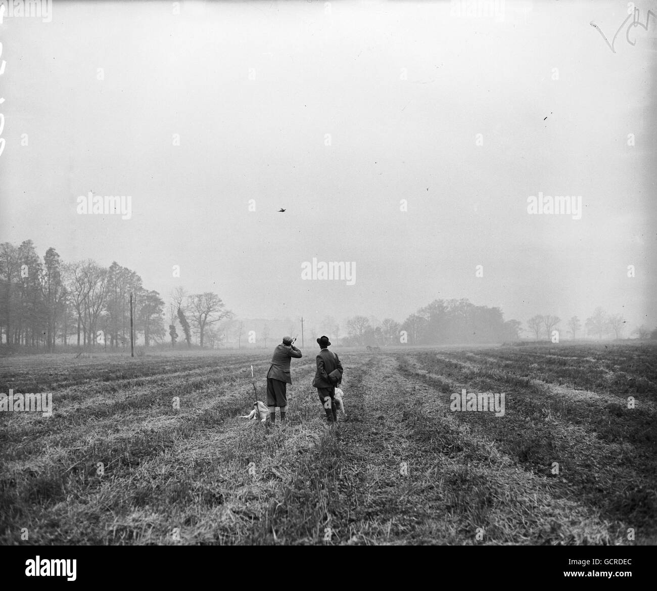Game bird gun hi-res stock photography and images - Alamy