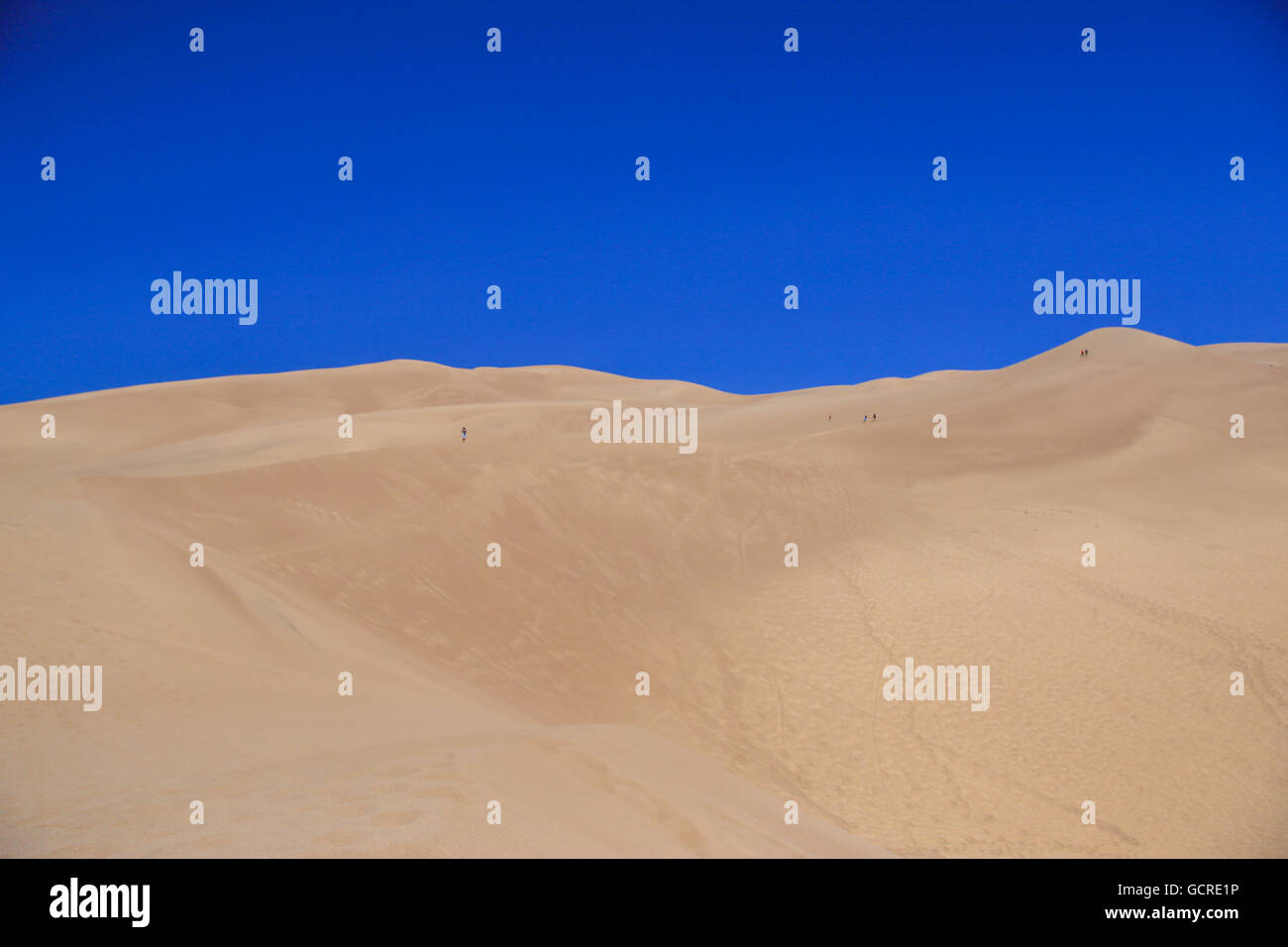 Golden Sands at Great Sand Dunes National Park Stock Photo - Alamy