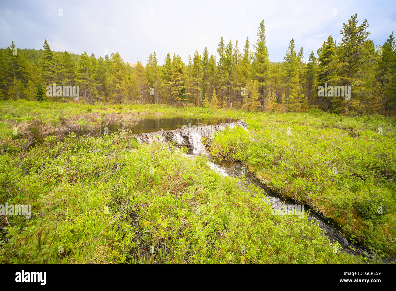 Tincup pass offroad trail hi-res stock photography and images - Alamy