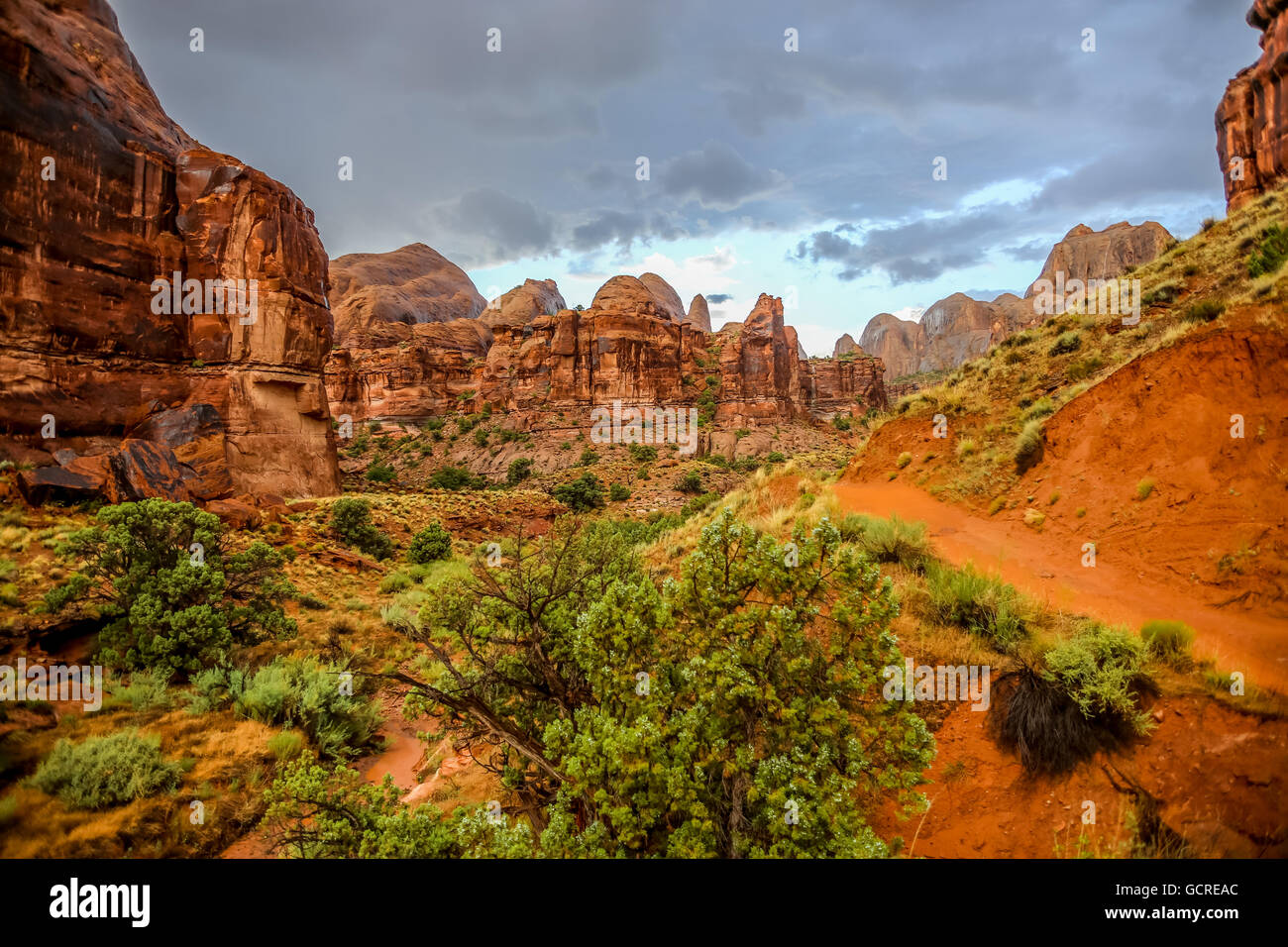 Pritchett hi-res stock photography and images - Alamy