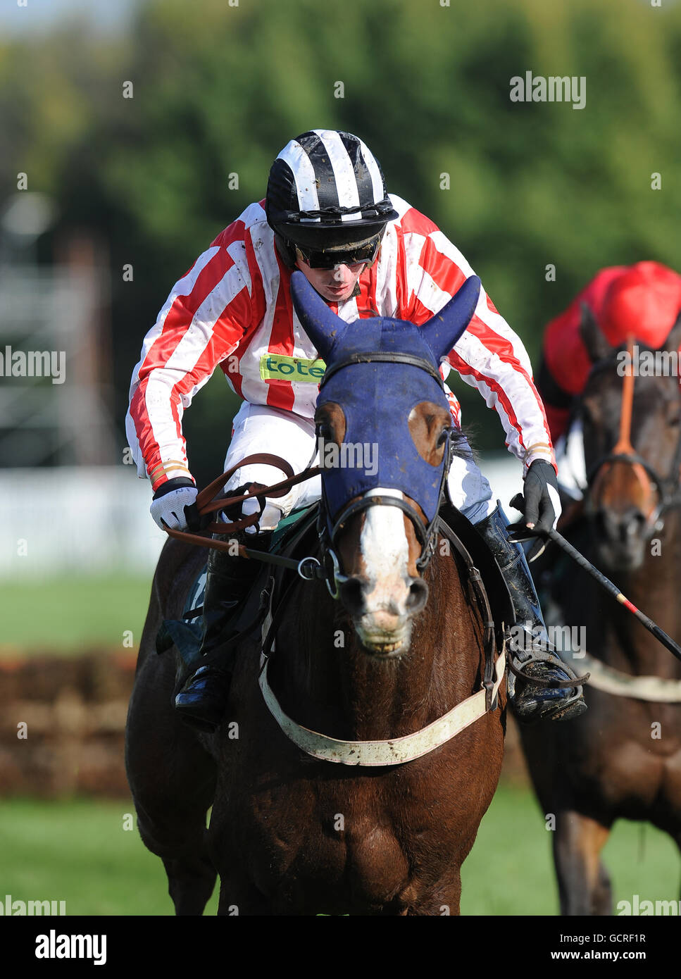 Hurdle towcester racecourse hi-res stock photography and images - Alamy