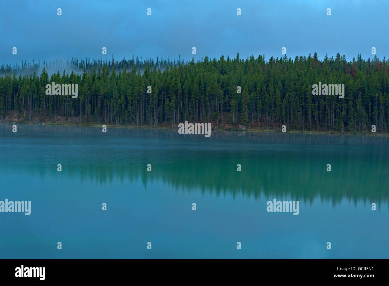 Treeline hi-res stock photography and images - Alamy