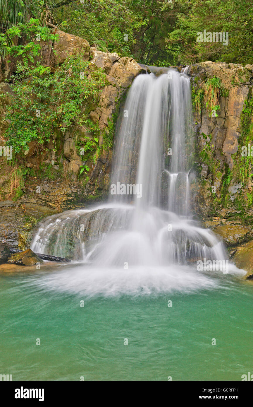 Beautiful Waiau Falls in a lush green rainforest setting, Coromandel ...