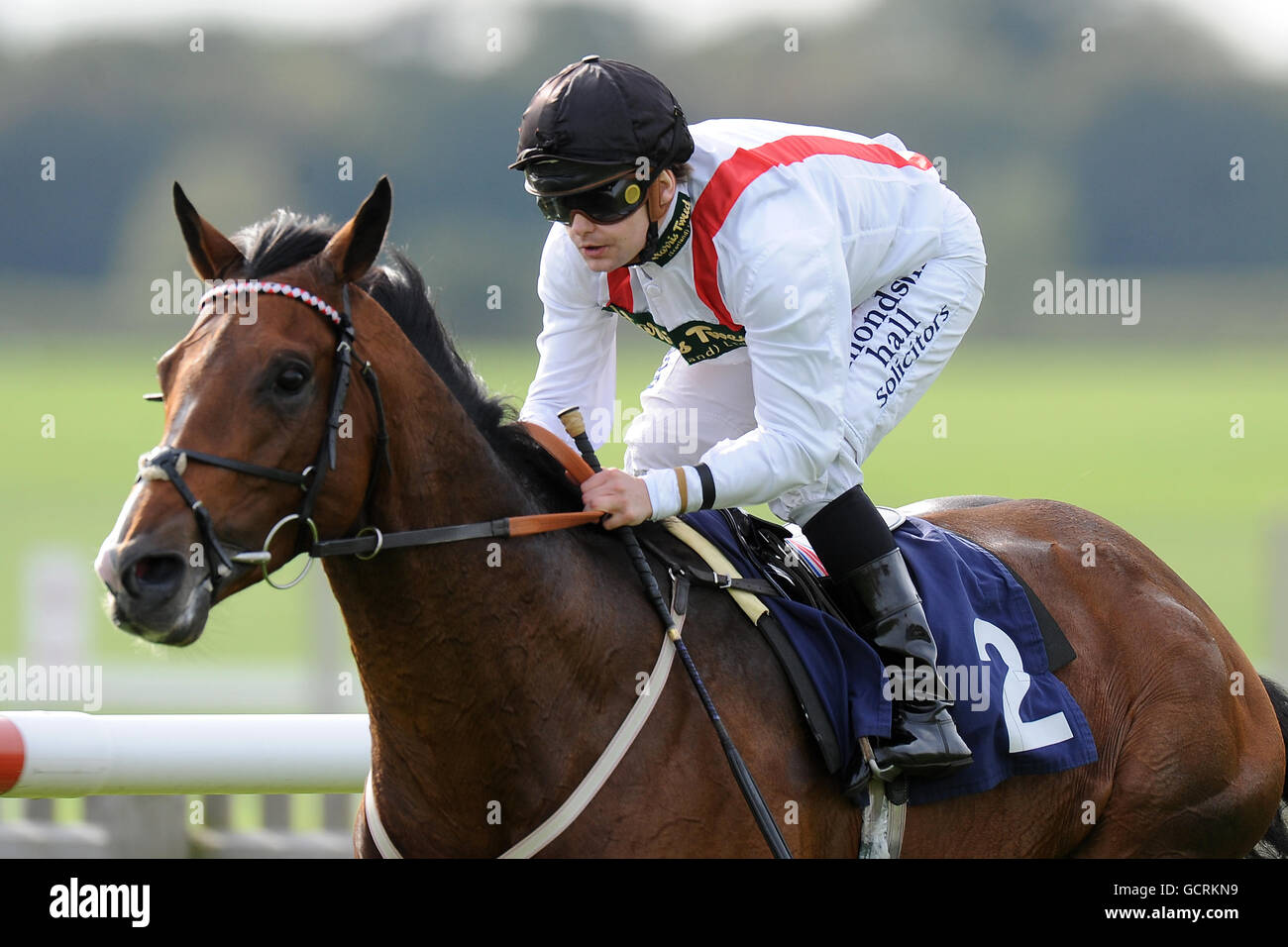Jockey liam jones on harris tweed during the noel murless hi-res stock ...