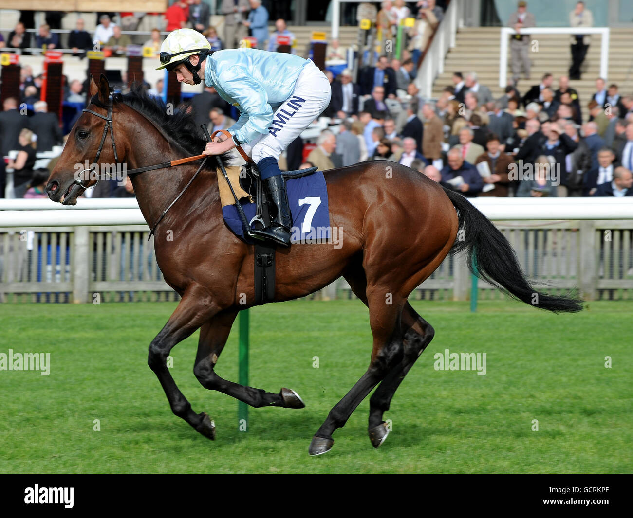 Profondo horse hi-res stock photography and images - Alamy