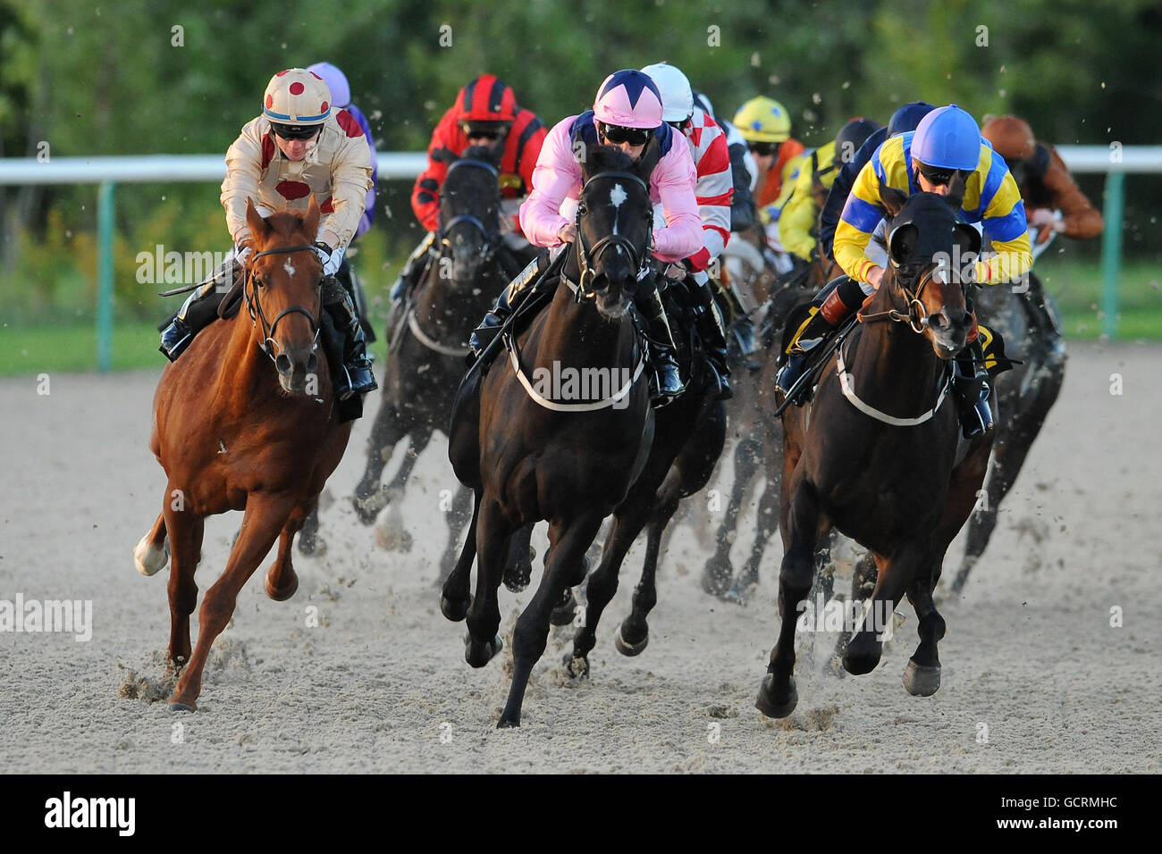 Horse Racing - Wolverhampton Racecourse Stock Photo - Alamy