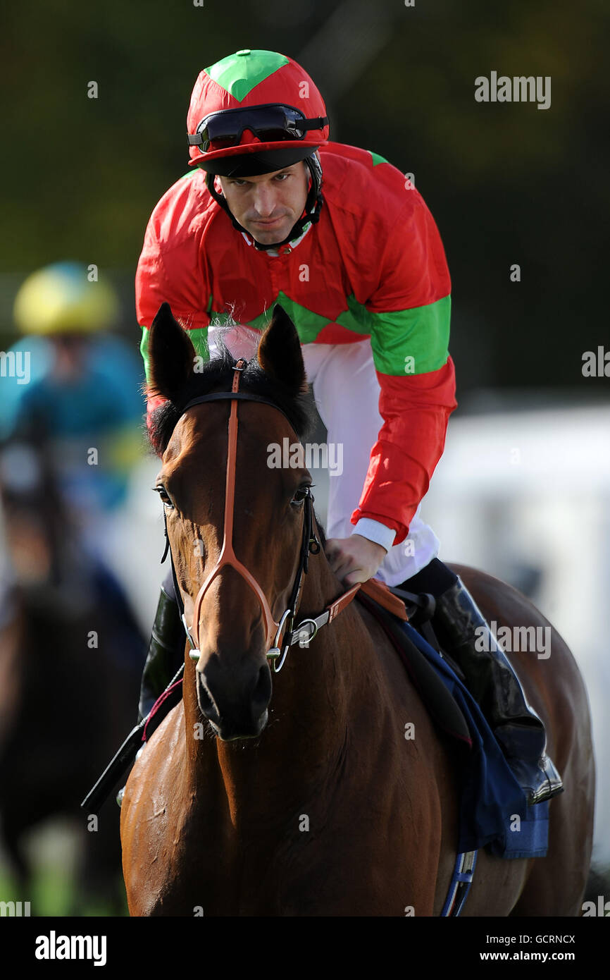 Horse Racing - Newbury Racecourse Stock Photo - Alamy