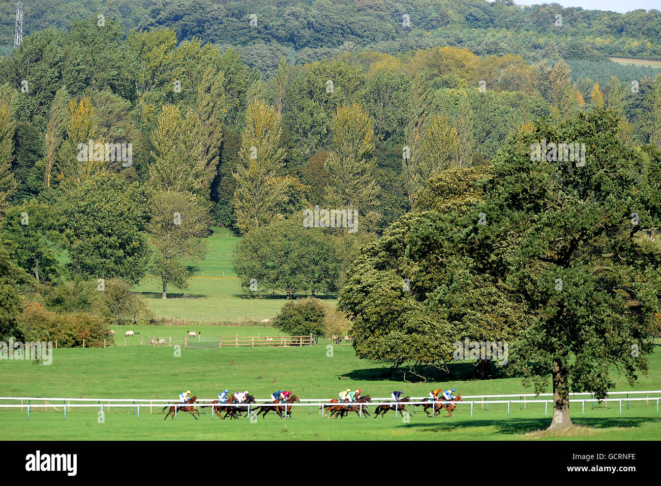 Horse Racing - Towcester Racecourse Stock Photo - Alamy