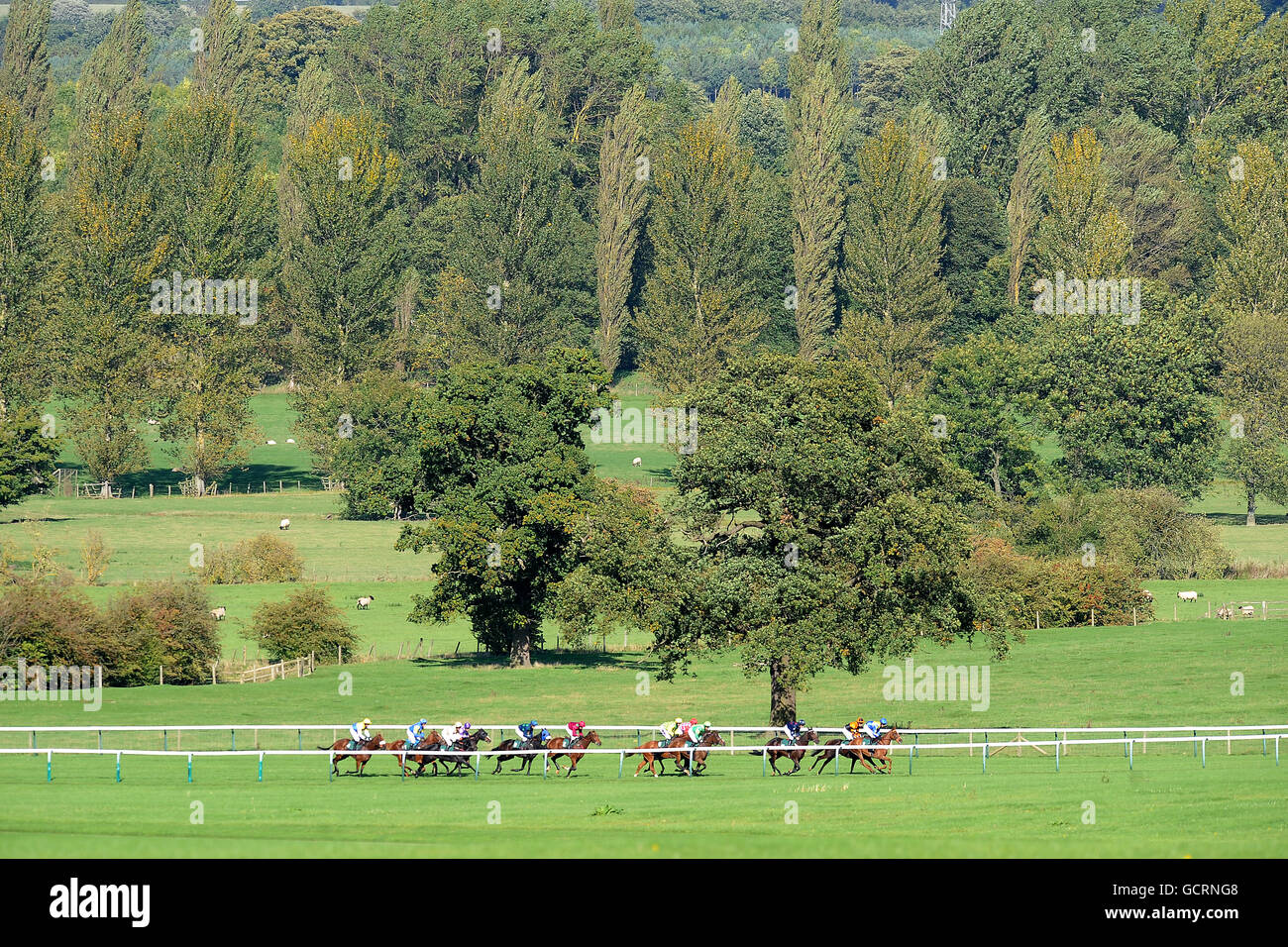 Horse Racing - Towcester Racecourse Stock Photo - Alamy
