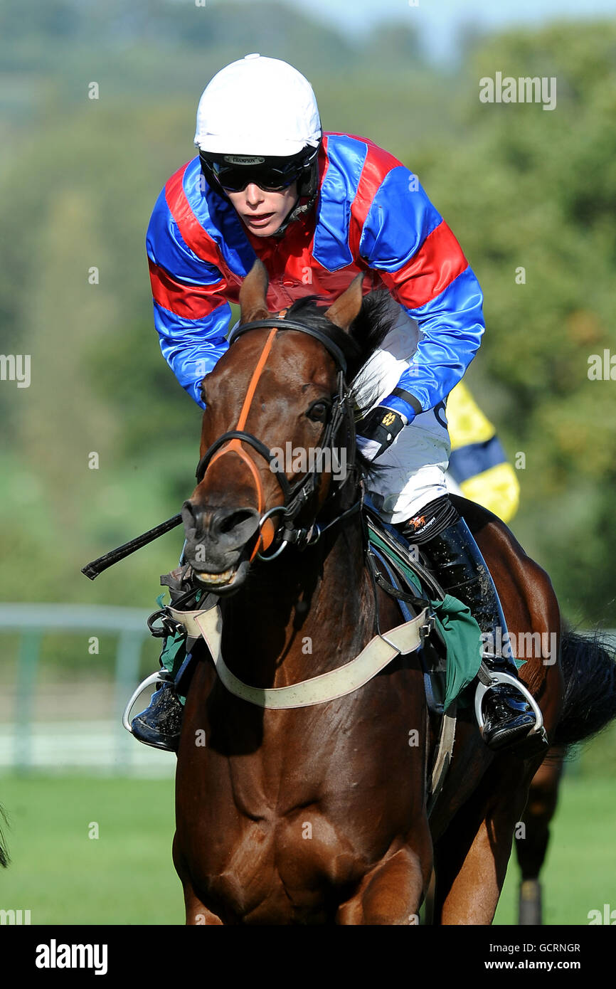Jockey Lee Edwards on Le Corvee during the gg.com Beginners' Chase ...