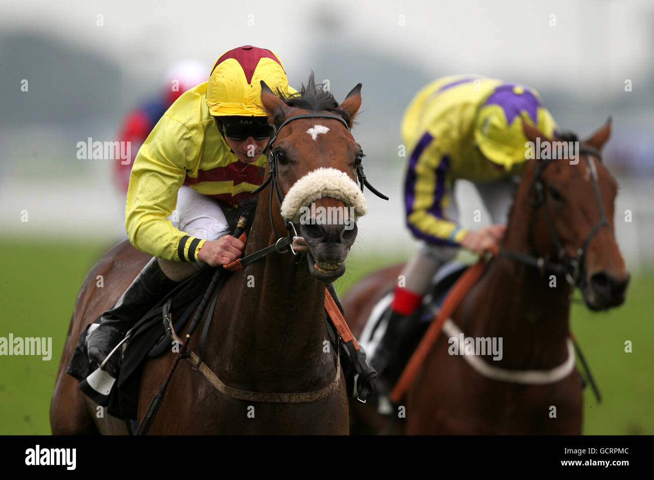 Horse Racing - The Coral Sprint Trophy - York Racecourse Stock Photo ...