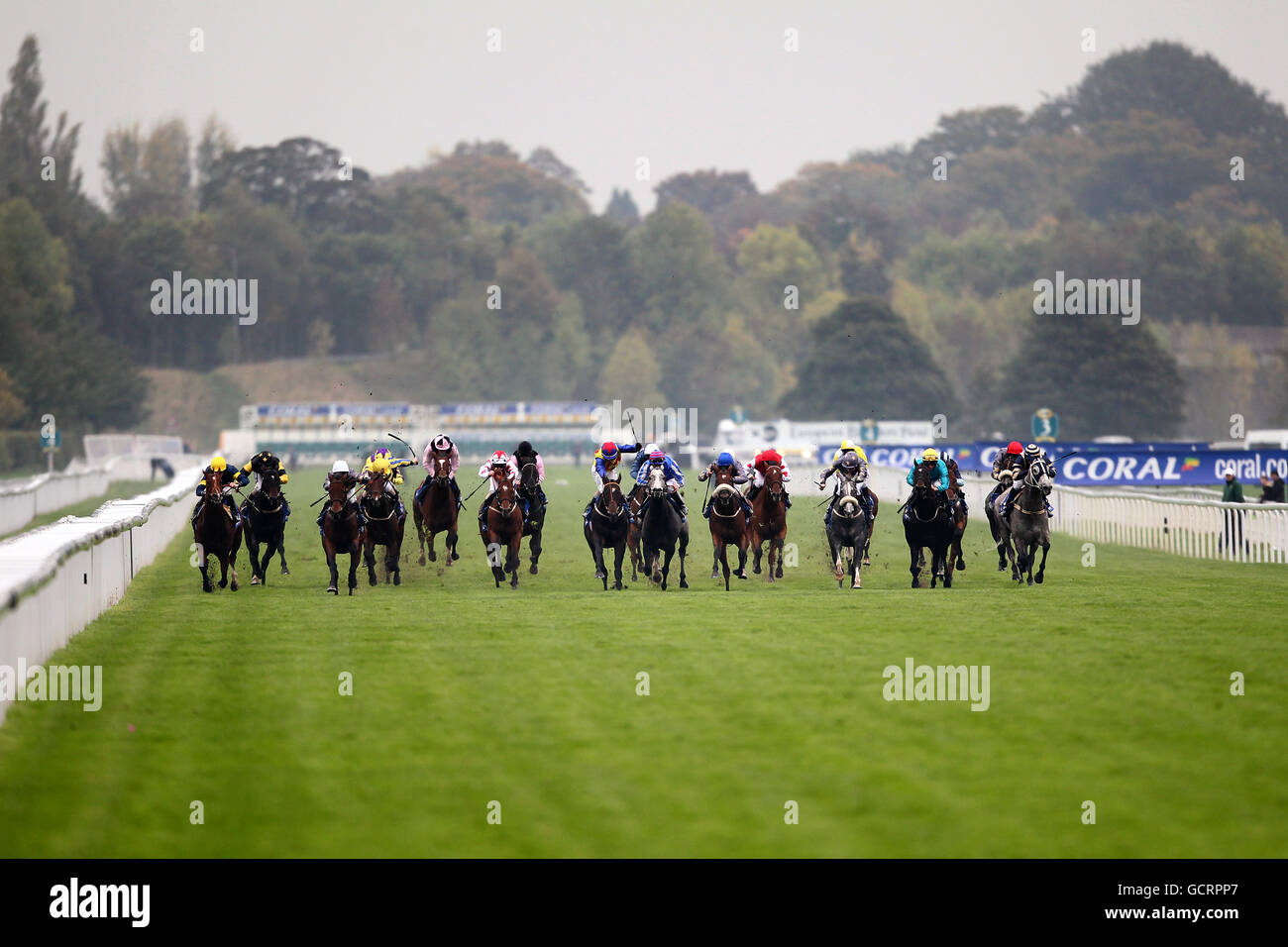 Horse Racing - The Coral Sprint Trophy - York Racecourse Stock Photo ...