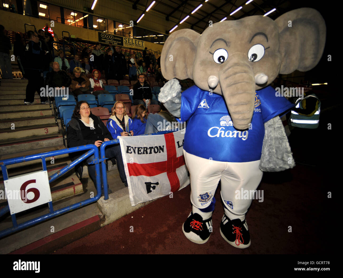 Everton mascot chang the elephant before kick off hi-res stock ...