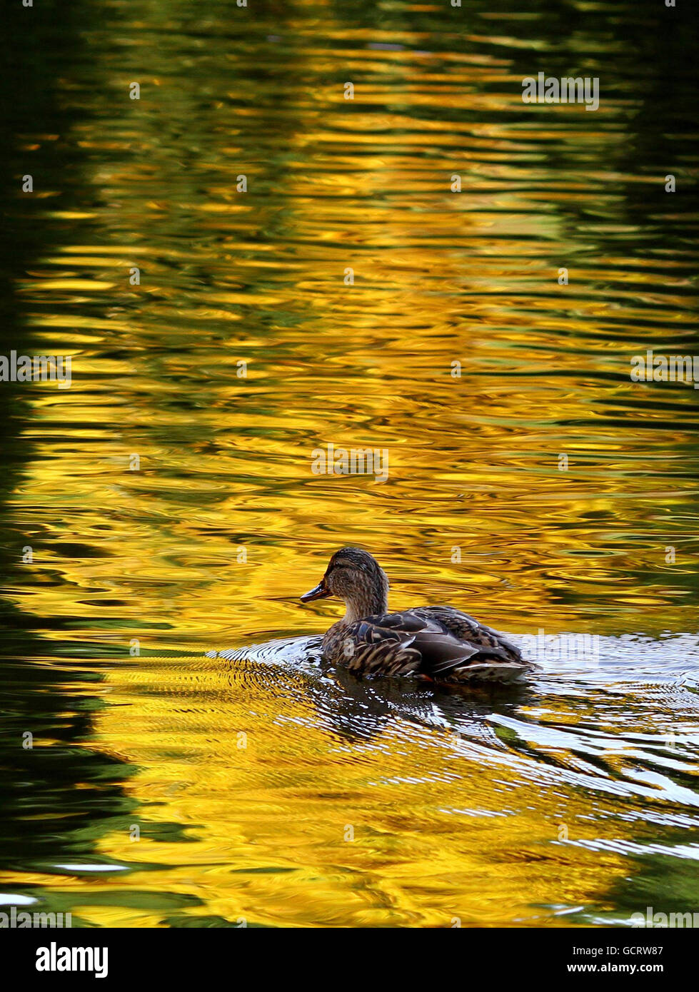 Weather Oct 22nd Stock Photo - Alamy